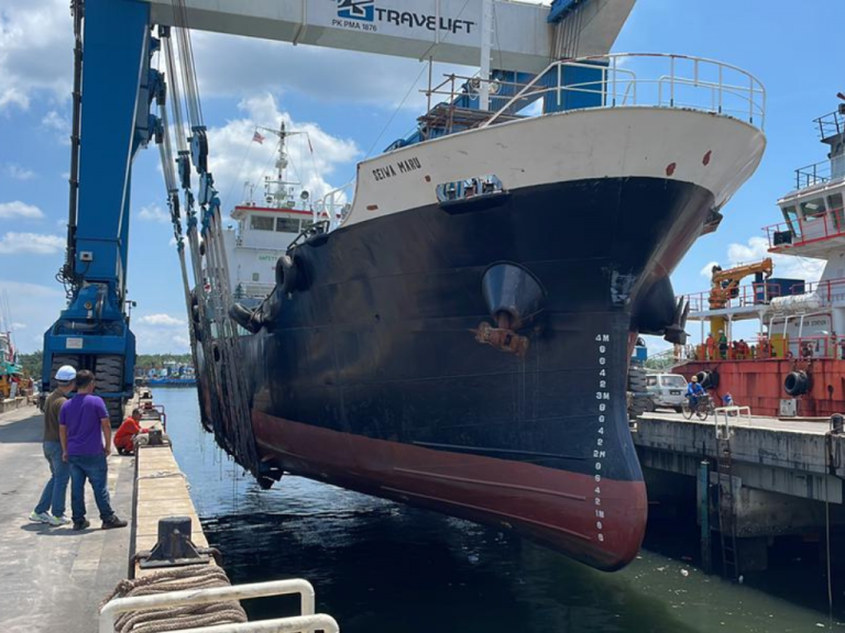 Home - MY CLASSIFICATION